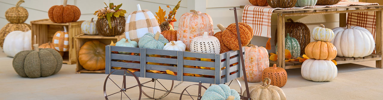 Fall Pumpkin Patch